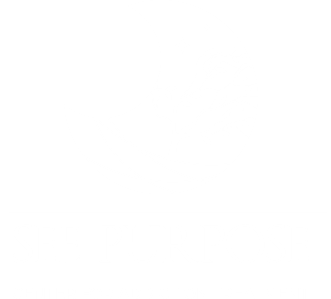 What Happens in a 12 Step Meeting? | SEE Purpose™ Treatment Center